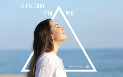 The Olfactory Pyramid - Eco Candle Project