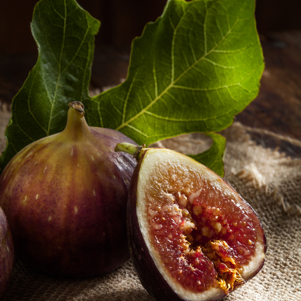 VIOLET- BLACK FIG & TONKA ( NEW VERSION ) - Eco Candle Project