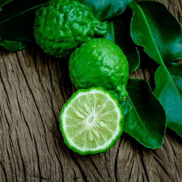 CALABRIAN BERGAMOT & JUICY LIME - Eco Candle Project