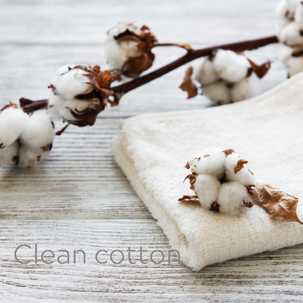 REED DIFFUSER WITH ROSE GOLD - Eco Candle Project