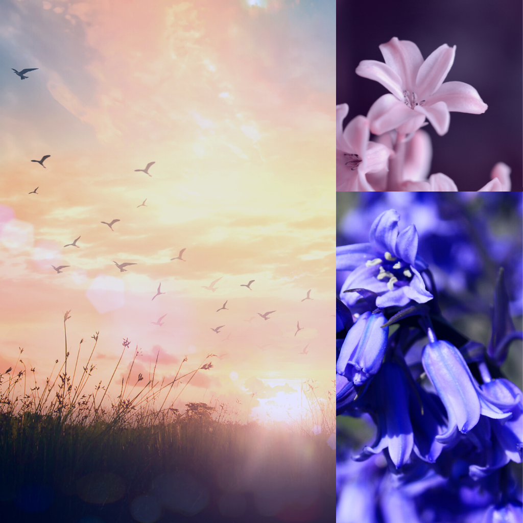 LUXURY CANDLE KIT SILVER STAR - Eco Candle Project