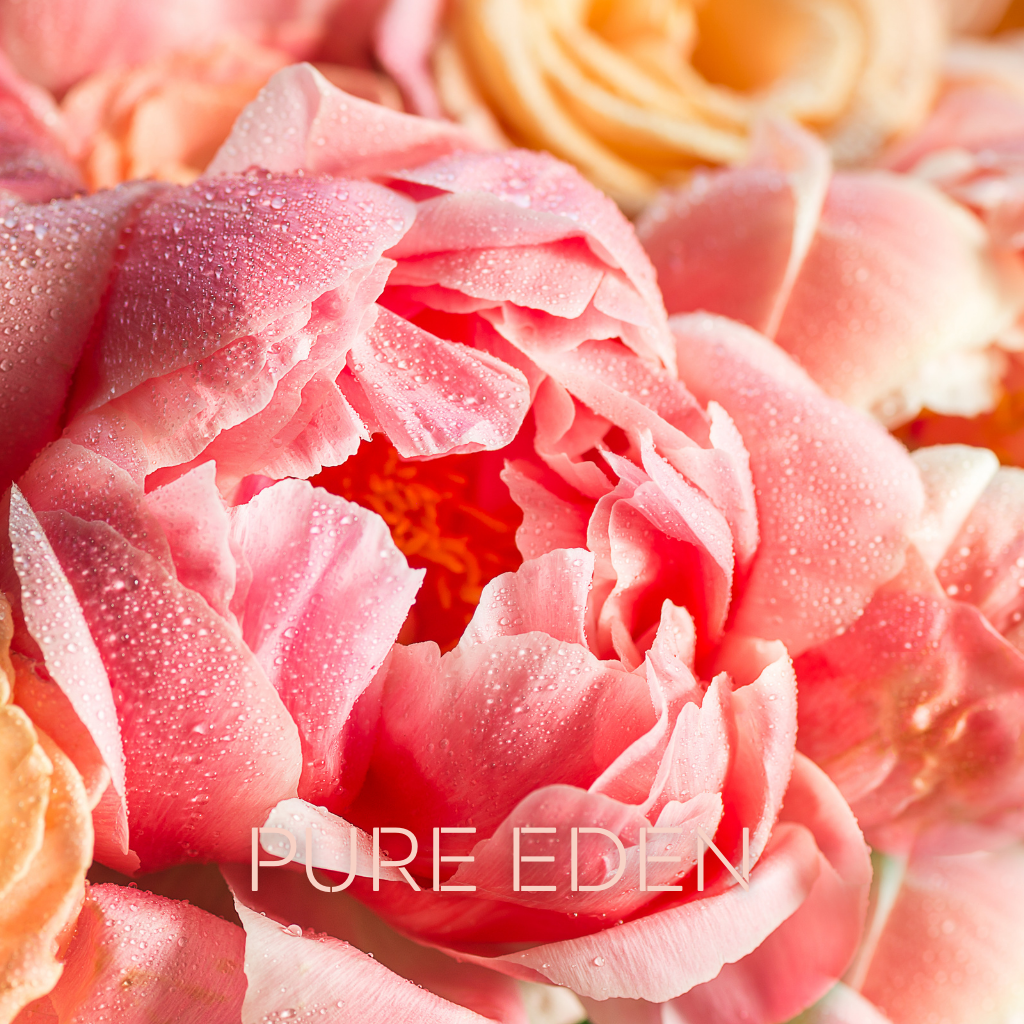 PURE EDEN - Eco Candle Project