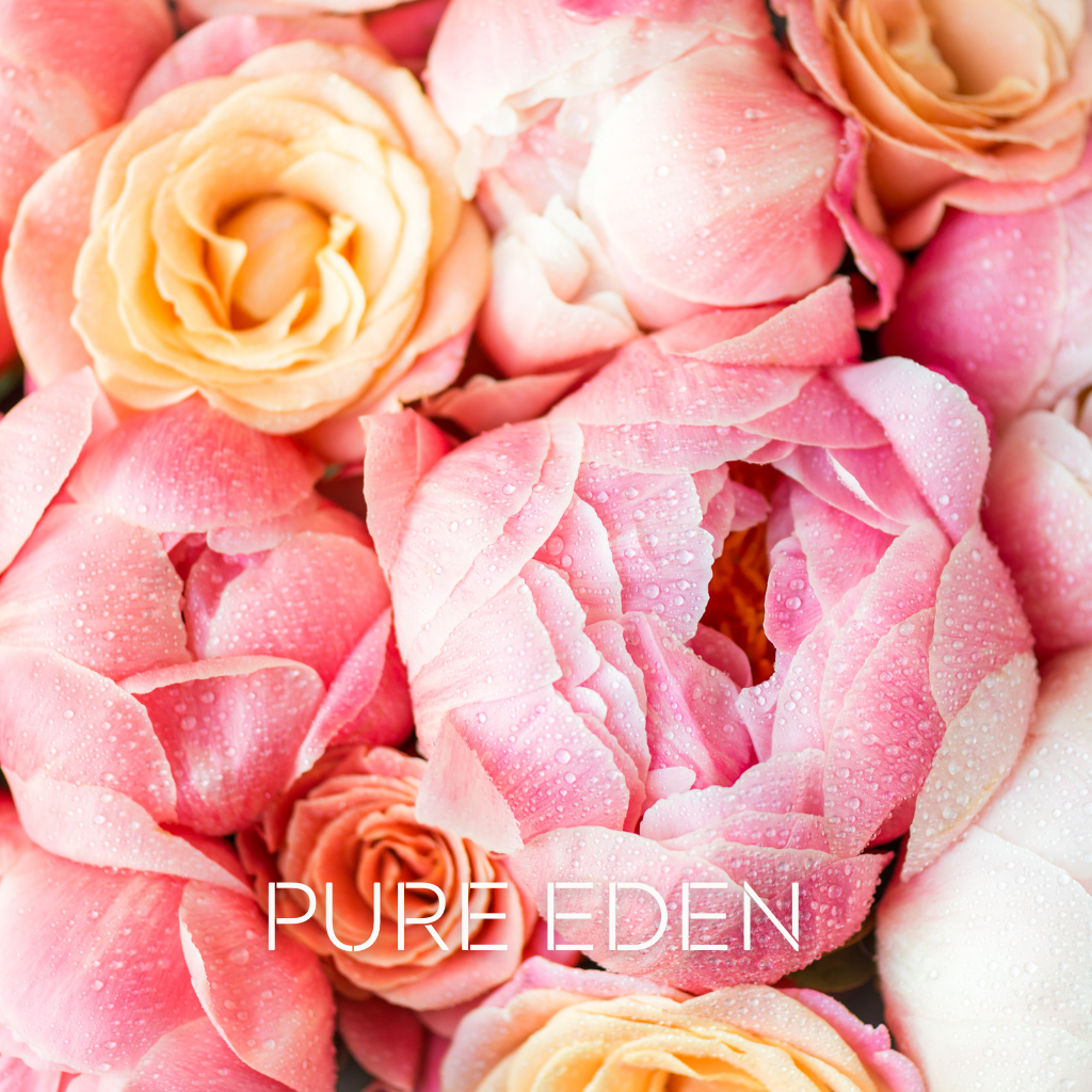 PURE EDEN - Eco Candle Project